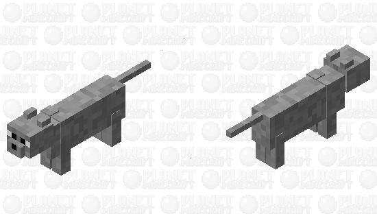 New cat. Minecraft Mob Skin