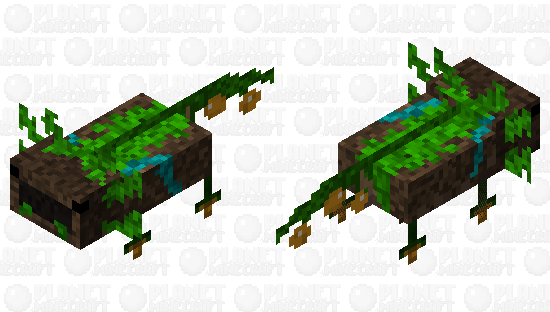 Lush cave axolot Minecraft Mob Skin