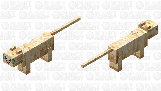 Happy Green-Eyed Persian Cat Minecraft Mob Skin