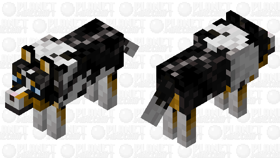 Boreal- Australian Shepherd Minecraft Mob Skin