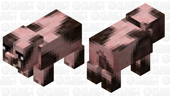 Dirty Concerned Boar Minecraft Mob Skin