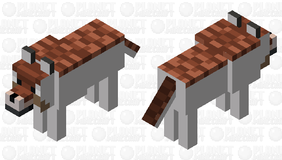 BareBones dog(with armadillo armor bc 1) armadillo won 2) armadillo ...