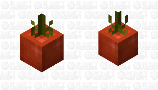 Tomato Minecraft Mob Skin