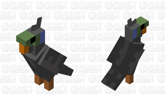 Pigeon Minecraft Mob Skin