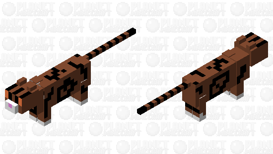 Carter Minecraft Mob Skin