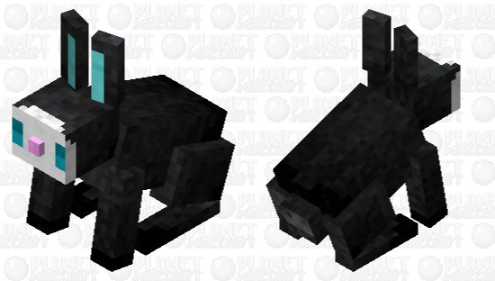 Nova the Black Rabbit Minecraft Mob Skin