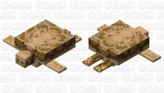tortoise Minecraft Mob Skin