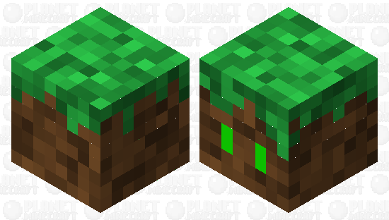 Grass Block Minecraft Mob Skin