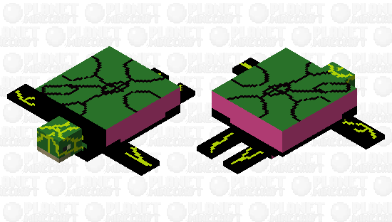 Koopa my pet turtle Minecraft Mob Skin