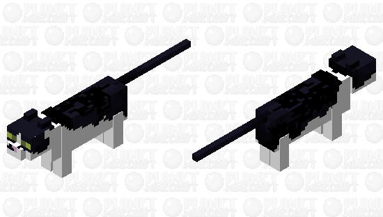 Oreo Cat Texture Minecraft Mob Skin