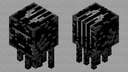 Distorted Shadow Minecraft Mob Skin