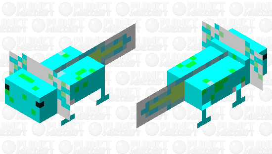 cyan axolotl Minecraft Mob Skin