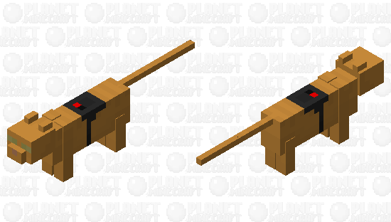 the cat from stray / Murtaugh Minecraft Mob Skin