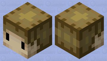 Grian Skins Minecraft Collection