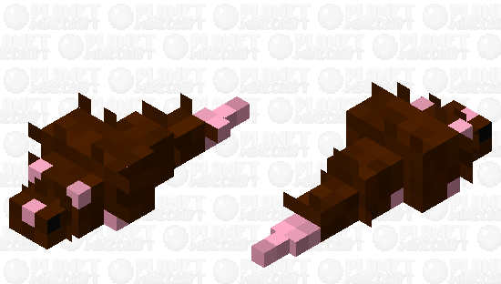 Rat Minecraft Mob Skin