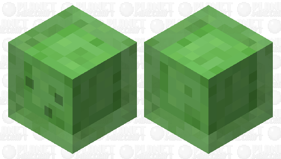 zdziwion slime Minecraft Mob Skin