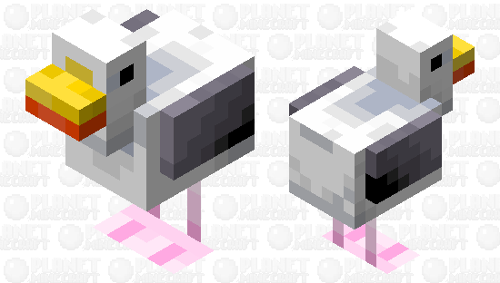 seagull chicken Minecraft Mob Skin
