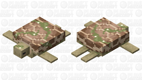 tweaked turtle (NOT MINE) Minecraft Mob Skin