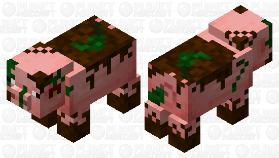muddy pig Minecraft Mob Skin
