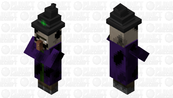 Distorted Witch Minecraft Mob Skin