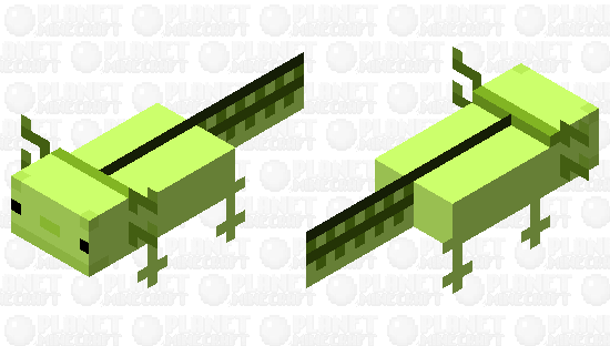 green axolotl Minecraft Mob Skin