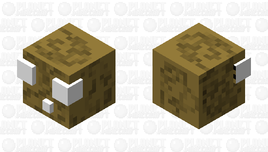 void cube Minecraft Mob Skin