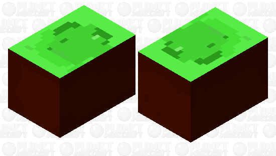 Grass Minecraft Mob Skin