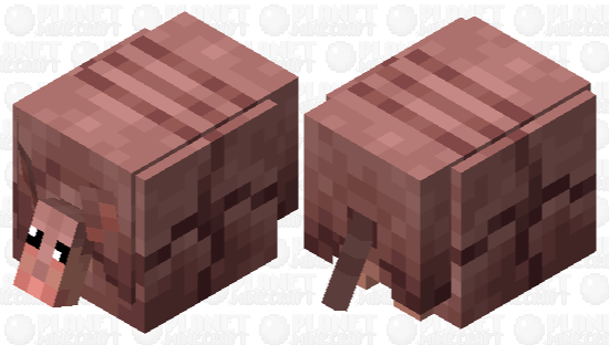 Derpy armadillo Minecraft Mob Skin