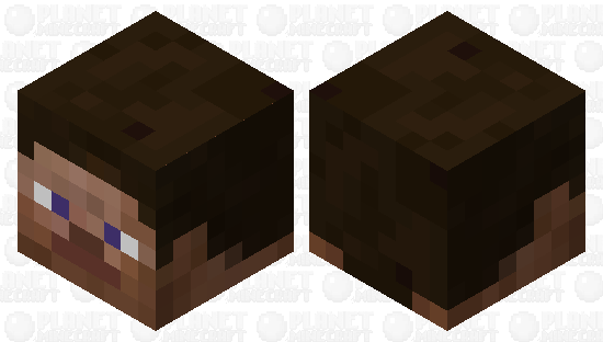 Steve Slime Cube Minecraft Mob Skin