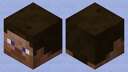 Steve Creeper Minecraft Mob Skin
