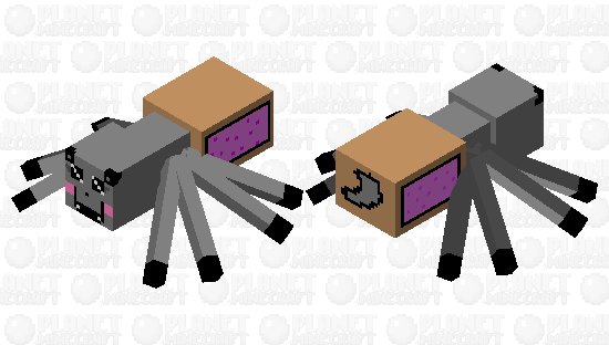 Nyan spider Minecraft Mob Skin