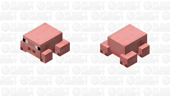 Pog Minecraft Mob Skin