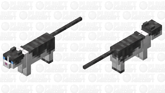 Komaru cat from russian meme bananchiki and arbyziki Minecraft Mob Skin