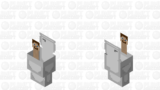 Skibidi Toilet Minecraft Mob Skin