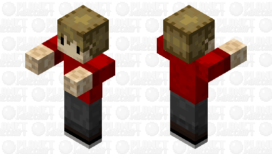 Insane Grian (Improved) Minecraft Mob Skin