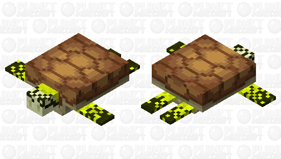 caretta turtle Minecraft Mob Skin