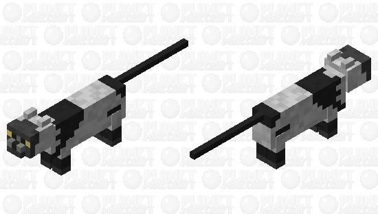 Black-and-White Ruffed Lemur Minecraft Mob Skin