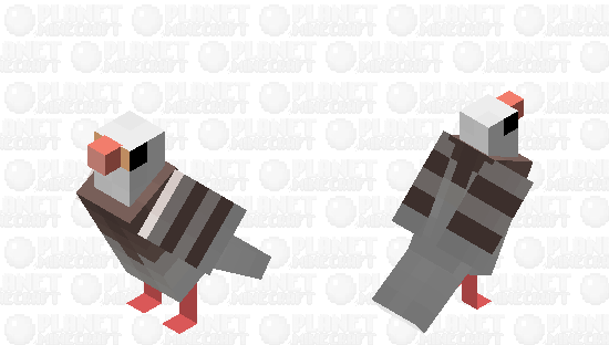 Mealy bar capuchin pigeon Minecraft Mob Skin