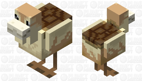 Turtle Duck Avatar Minecraft Mob Skin