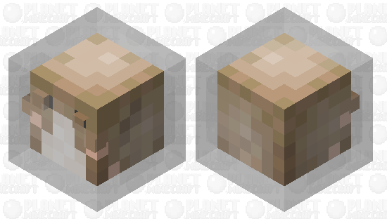 Rhino the hamster from the movie Bolt Minecraft Mob Skin