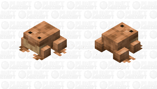 Budgett’s Frog Minecraft Mob Skin