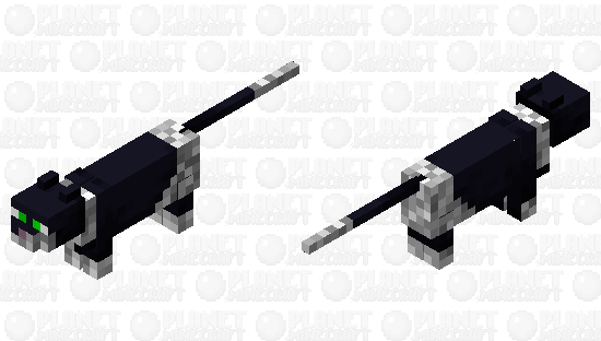momma kitty which has cancer and a brain tumor ;( Minecraft Mob Skin