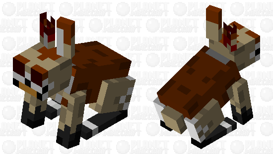 Literally.. Skull Rabbit as a real rabbit.. (Rabbit mob skin). IDMV ...