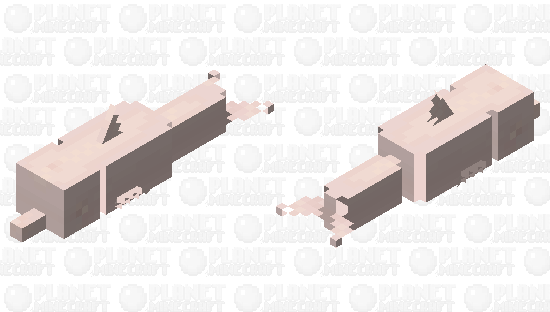 🦪🌹🐬 ꋪose P!nk Dolphin Endangered Zpecie 🐬🌹 🦪 Minecraft Mob Skin