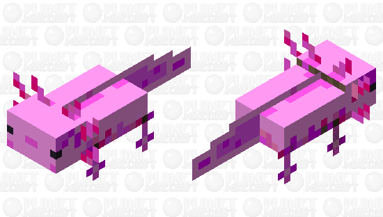 Pink Axolotl Minecraft Mob Skin