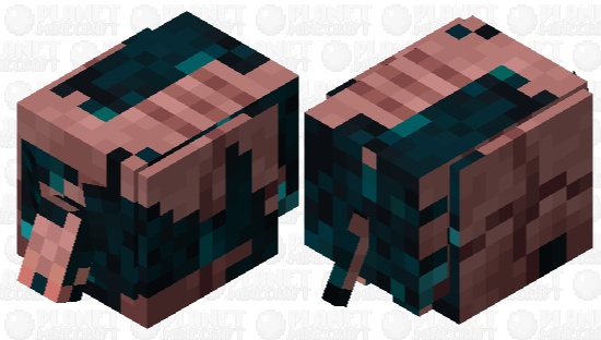 level 4 Minecraft Mob Skin