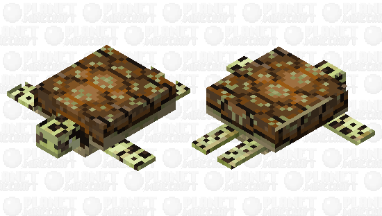 Accurate Green Sea Turtle Eye Edit (Java) Minecraft Mob Skin