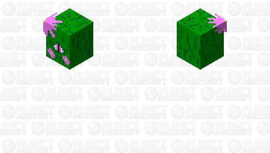 Flower Fae Minecraft Mob Skin