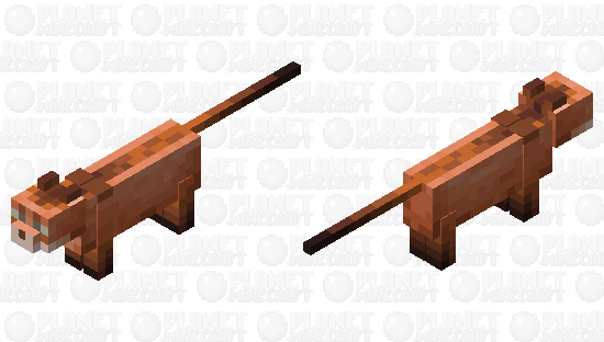Somali Cat Minecraft Mob Skin