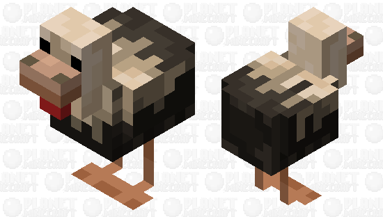(Cold?) chicken Minecraft Mob Skin
